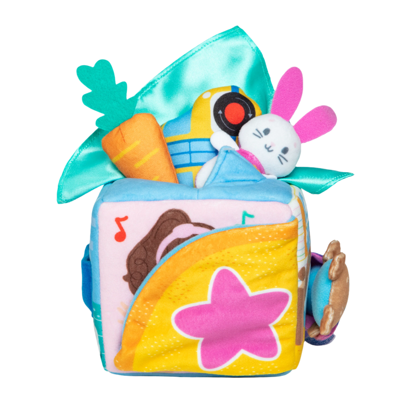 Surprise Learning Box – Ms Rachel | Official Site